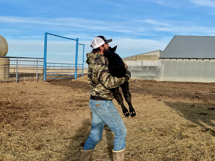 Wyoming Wholesome Ranch Raised Beef